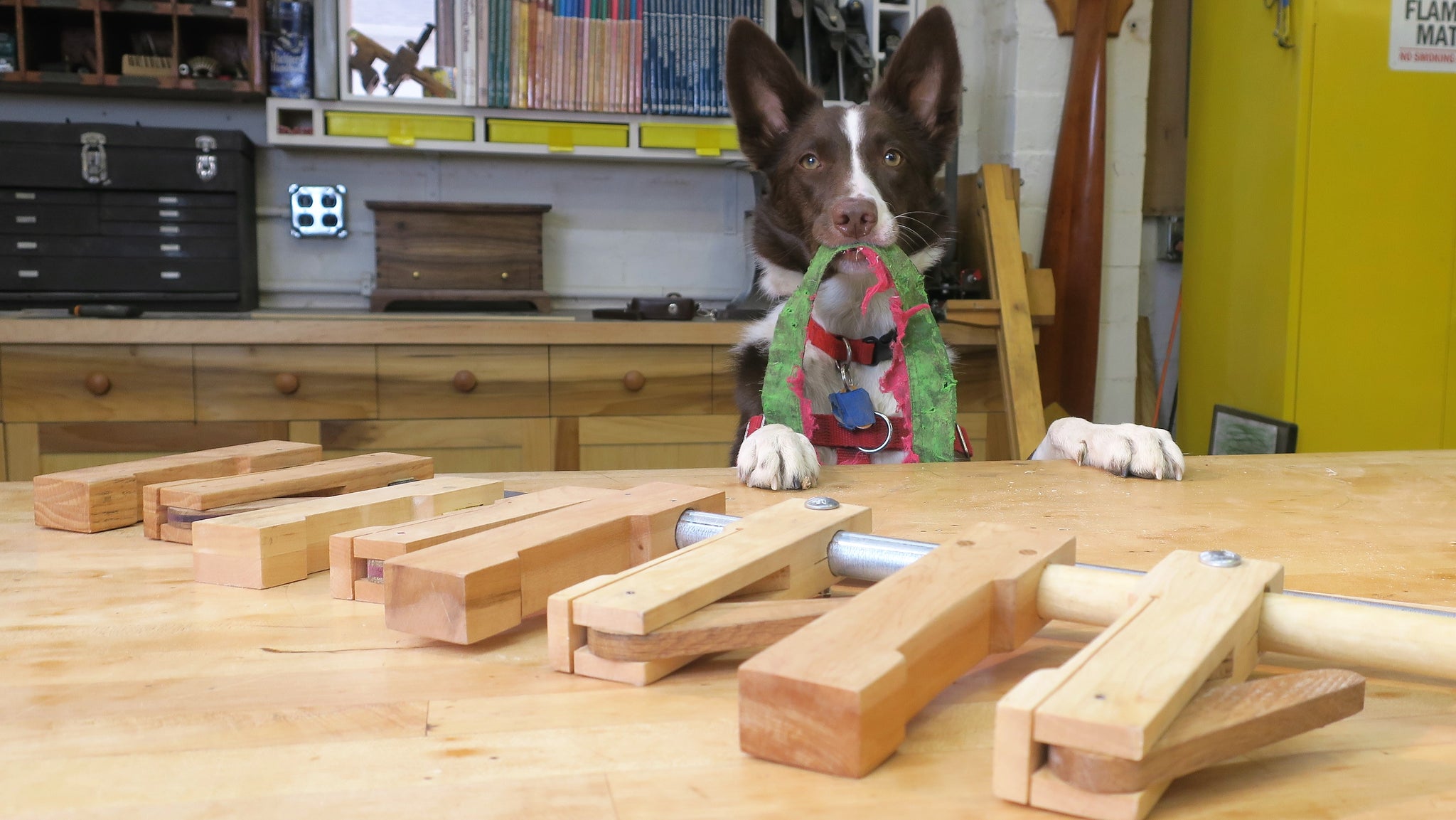 Cam Clamps Plan – Workshop Companion